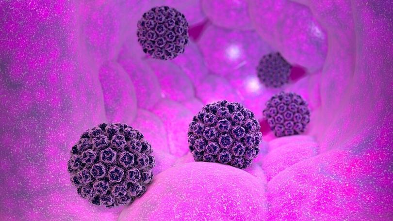 Superinfection: What is It and What Helps? | Women's Alphabet