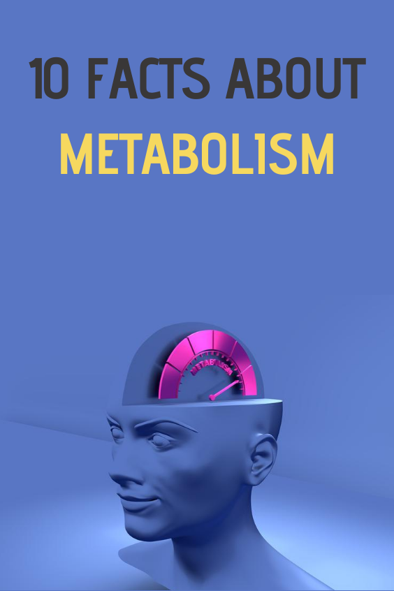 10 Facts About Metabolism & How Your Hormones Affect Your Metabolism 10 Facts About Metabolism & How Your Hormones Affect Your Metabolism