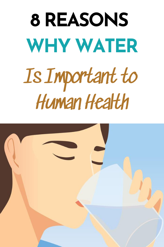 8 Reasons Why Water Is Important to Human Health