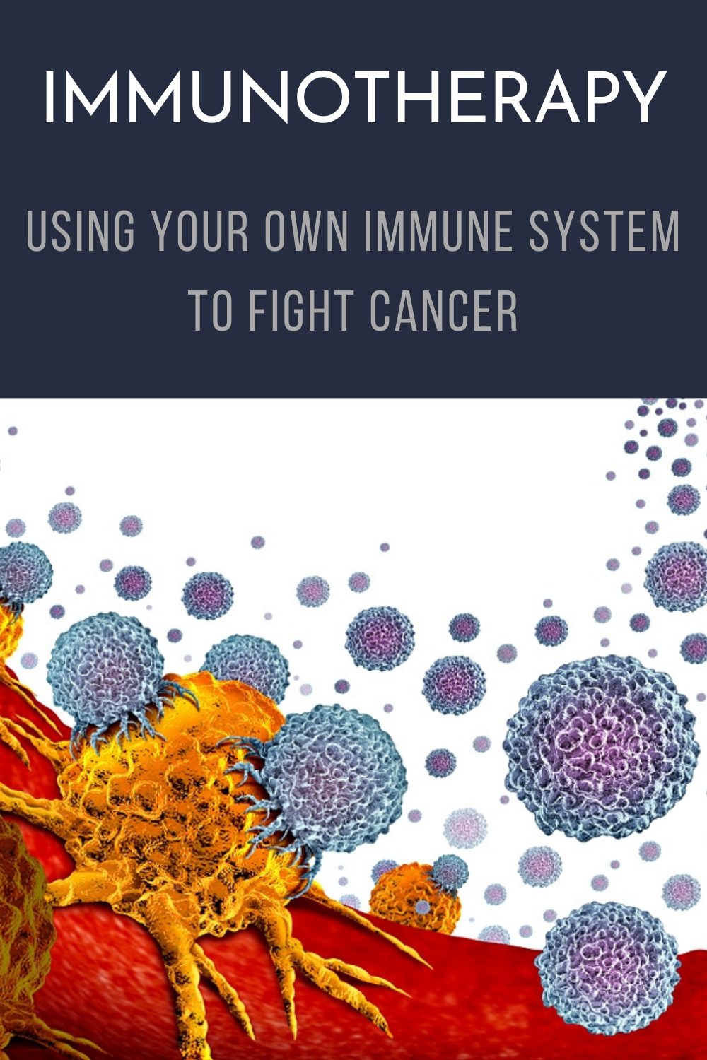 Using Your Own Immune System to Fight Cancer