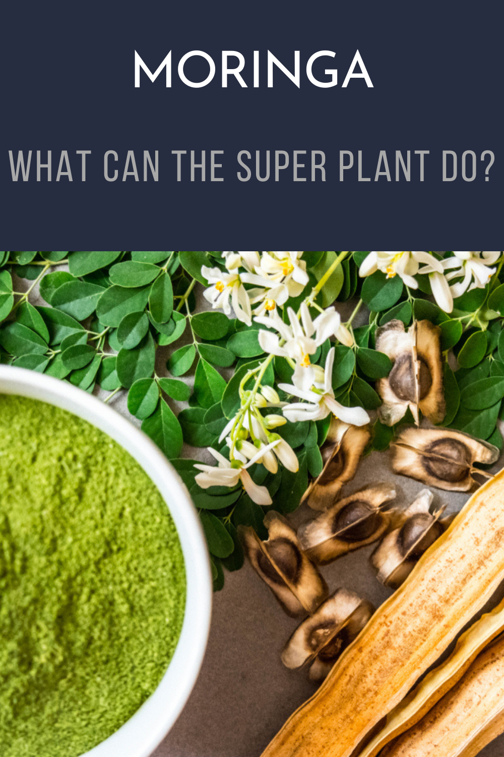 Moringa: What Can The Super Plant Do?
