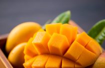 Dry Nose: Causes and Care Tips